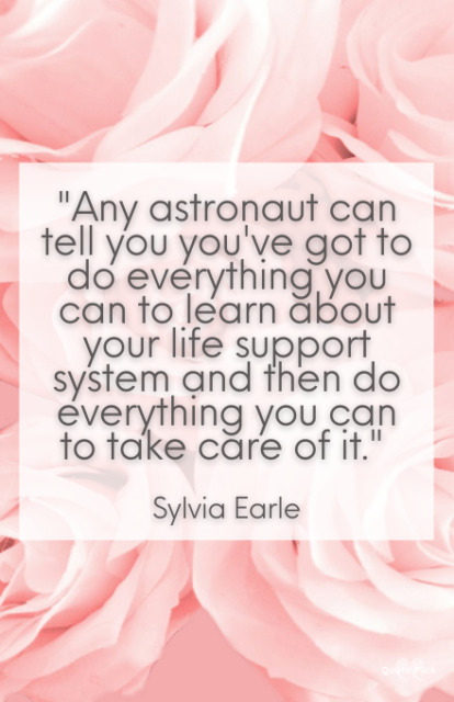 50 BEST Support Quotes To Provide Strength And Reflection