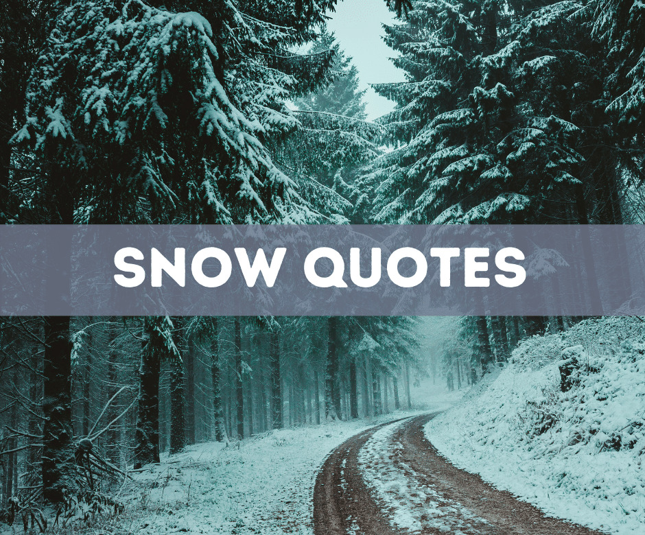 40 Best Snow Quotes To Get You Excited For Winter