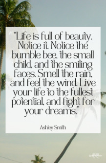 40 Best Wind Quotes To Invigorate And Inspire You