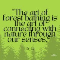 80 Best Forest Quotes To Inspire You To Appreciate Nature