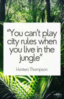 52 Jungle Quotes To Inspire You And Unleash Your Wild Side