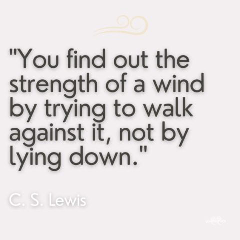40 Best Wind Quotes To Invigorate And Inspire You