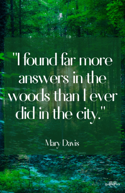 80 Best Forest Quotes To Inspire You Walk In The Woods