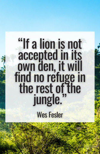 52 Jungle Quotes To Inspire You And Unleash Your Wild Side
