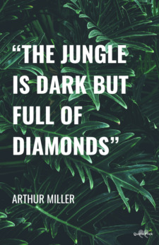 52 Jungle Quotes To Inspire You And Unleash Your Wild Side