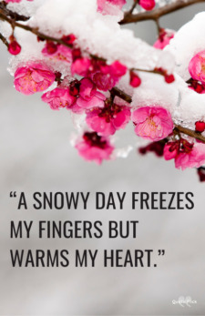 40 Best Snow Quotes To Get You Excited For Winter