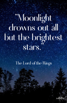 55 Quotes About Stars To Help You Realize The Magic Of Life