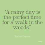 80 Best Forest Quotes To Inspire You Walk In The Woods