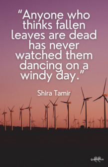 40 Best Wind Quotes To Invigorate And Inspire You