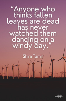 40 Best Wind Quotes To Invigorate And Inspire You