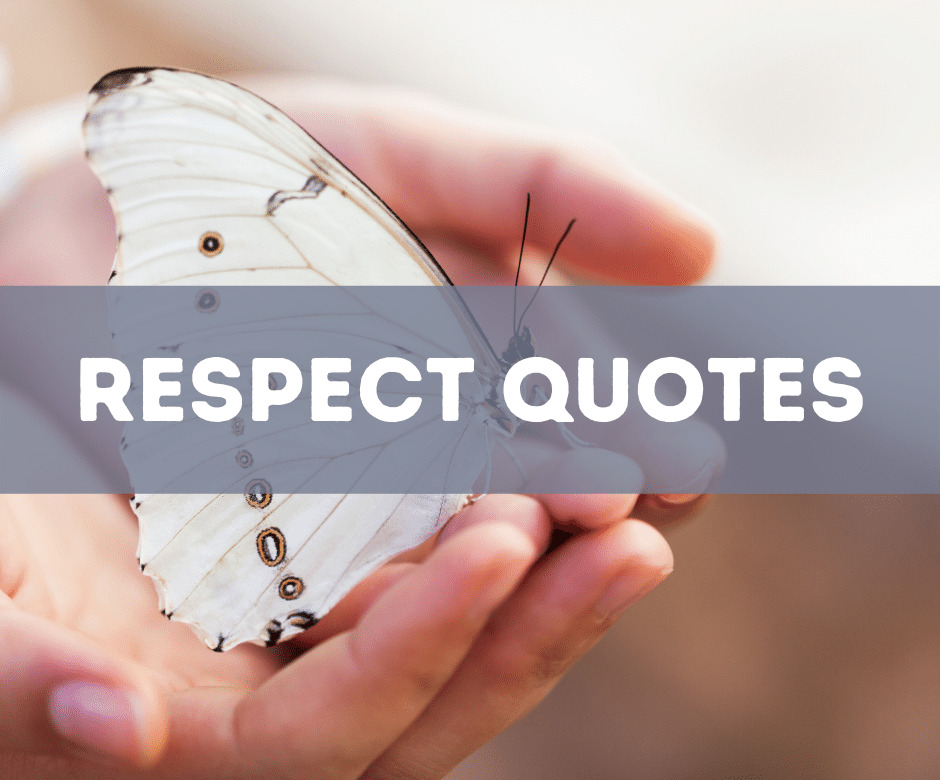 70 Powerful Respect Quotes To Help Us Create A Kinder World