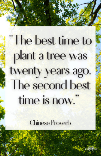 80 Environment Slogans To Empower You To Protect The Planet