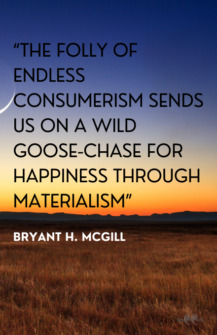 50 Materialism Quotes To Help You Have Less And Feel More