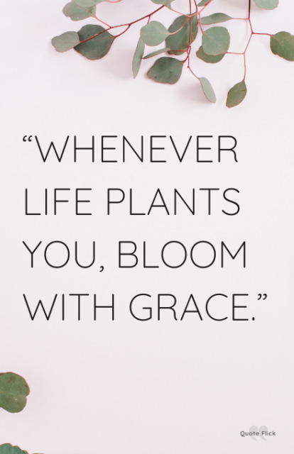 45 Grace Quotes To Help You To Approach Life With Softness