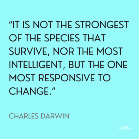 51 Change Quotes To Help You To Stop Resisting Changes