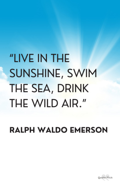 30 Beautiful Sunshine Quotes To Uplift You And Inspire You