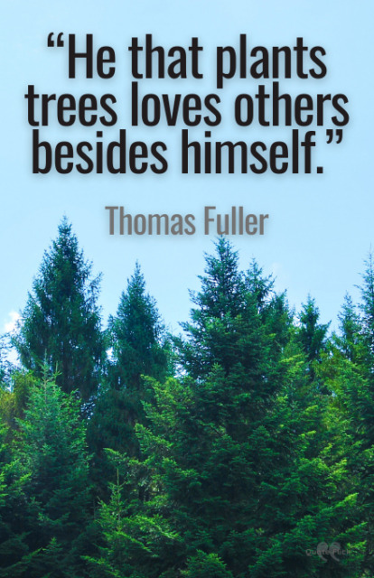 80 Environment Slogans To Empower You To Protect The Planet