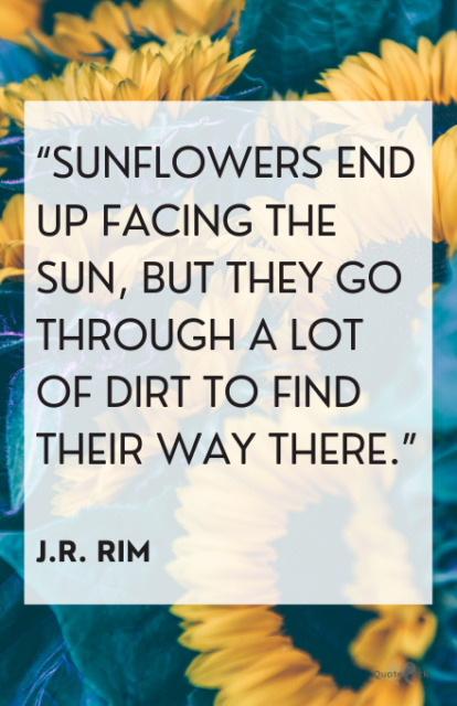 75 Sunflower Quotes To Help You Appreciate Their Beauty