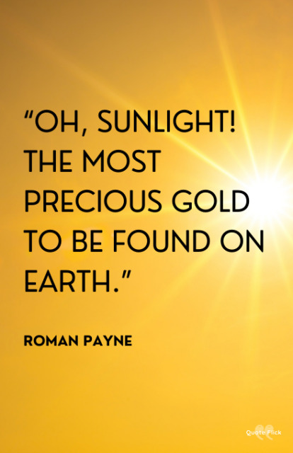 30 Beautiful Sunshine Quotes To Uplift You And Inspire You