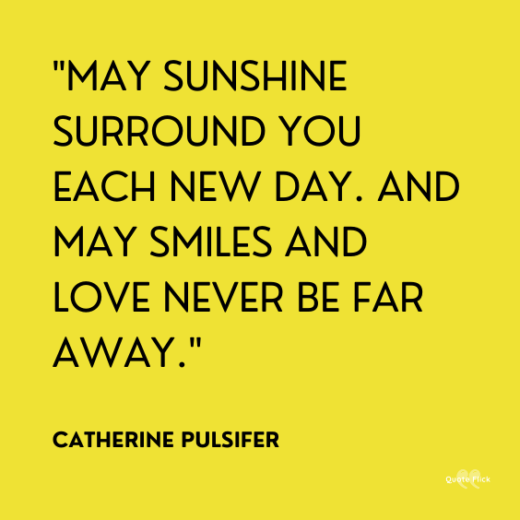 30 Beautiful Sunshine Quotes To Uplift You And Inspire You