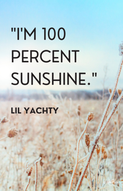 30 Beautiful Sunshine Quotes To Uplift You And Inspire You