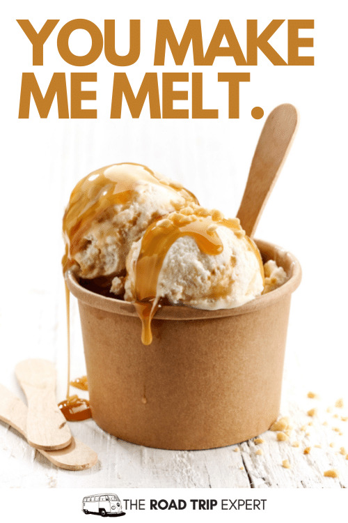 100 Funny Ice Cream Captions For Instagram (With Puns!)