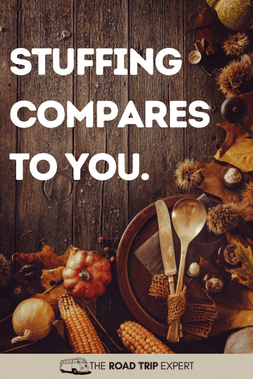 100 Best Thanksgiving Captions For Instagram (Plus Quotes!)