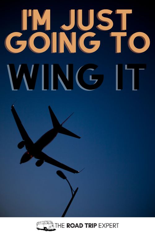 100 Fantastic Airplane Captions And Witty Flying Puns