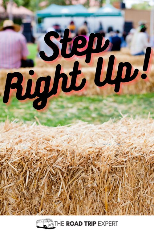 100+ Sensational State Fair Captions And Carnival Quotes