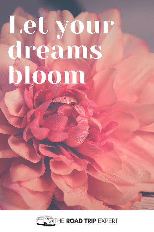 100 Spectacular Spring Captions For Instagram (With Quotes!)