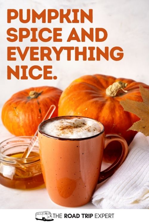100 Beautiful Fall Instagram Captions And Quotes For Insta