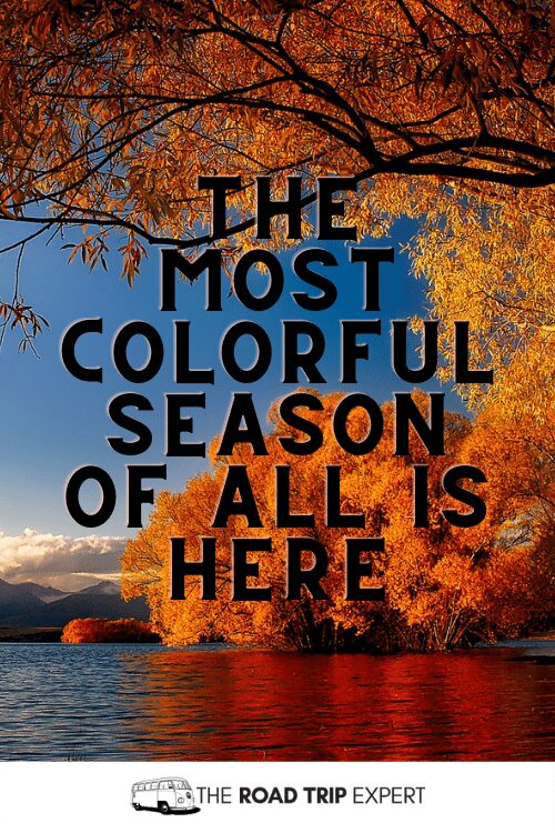100 Beautiful Fall Instagram Captions And Quotes For Insta