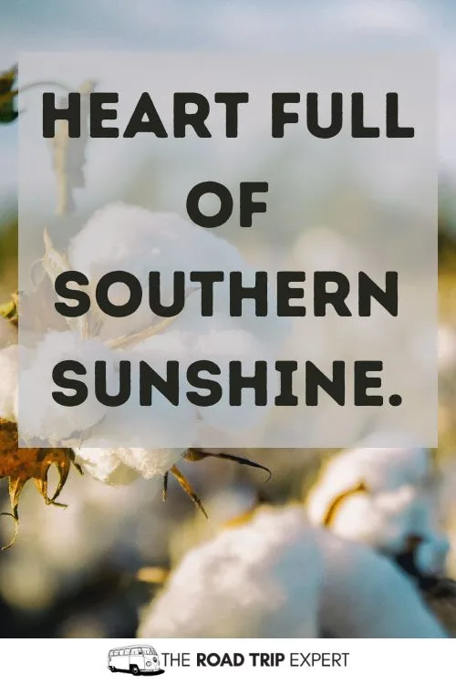 50 Best Alabama Captions For Instagram (With Quotes & Puns)