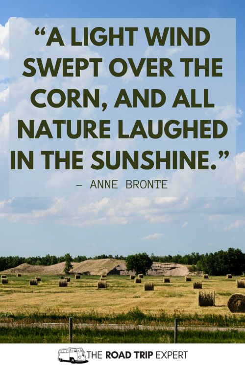 50 Remarkable Nebraska Captions For Instagram (With Quotes!)