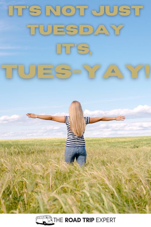 100 Terrific Tuesday Captions For Instagram (With Puns!)