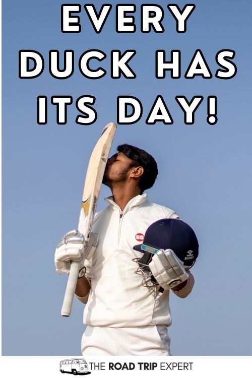 100 Brilliant Cricket Captions For Instagram (With Puns!)