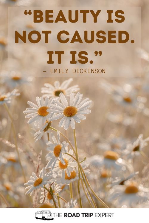 100 Inspiring Beauty Captions For Instagram (With Quotes!)